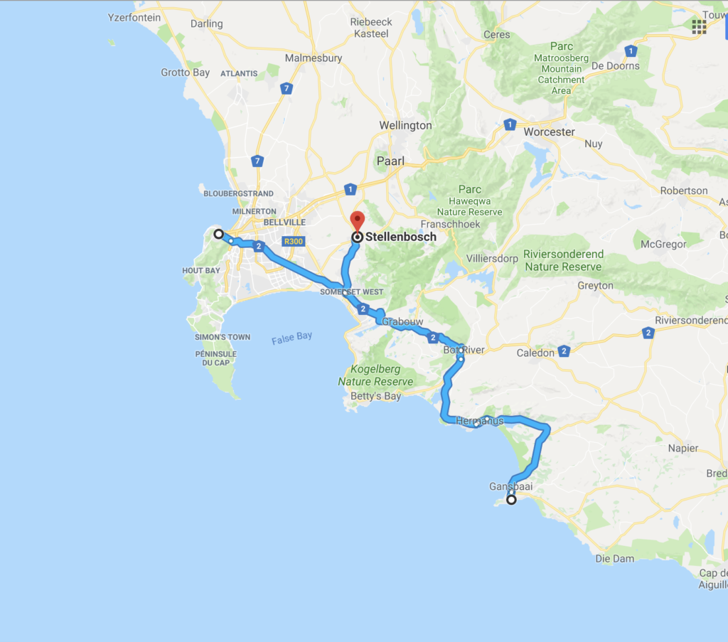 Safari Marin à Kleinbaai & halte gustative à Stellenbosch | On fait ...